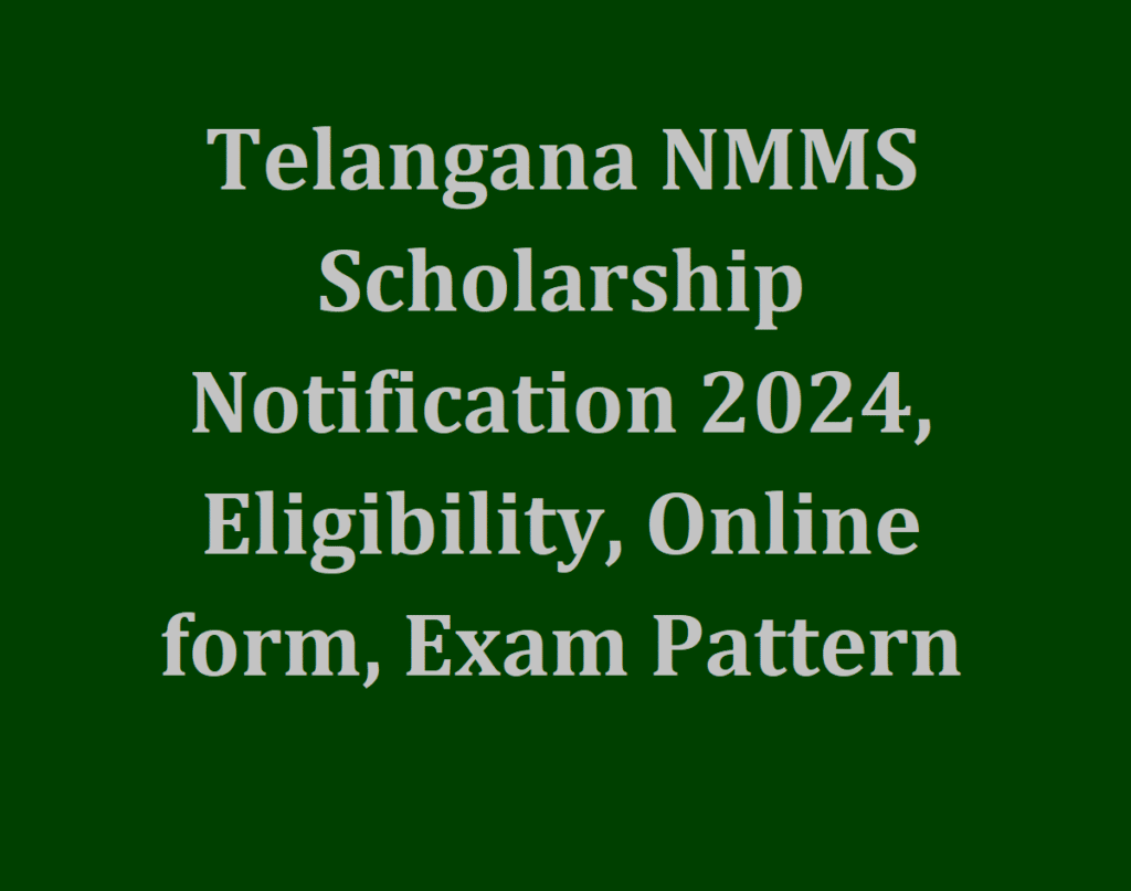 TG NMMS Notification 2025: Key Details Revealed